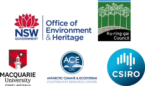 logo | Plant Conservation Australia