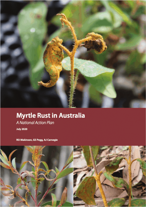 Myrtle Rust in Australia – a major threat to native biodiversity ...