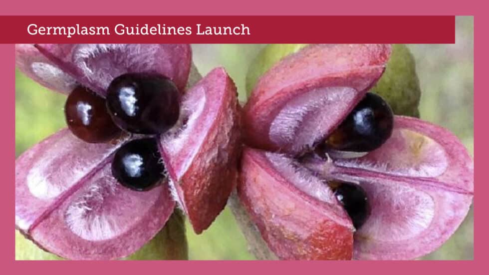 Germplasm Guidelines Launched! | Australian Network for Plant Conservation