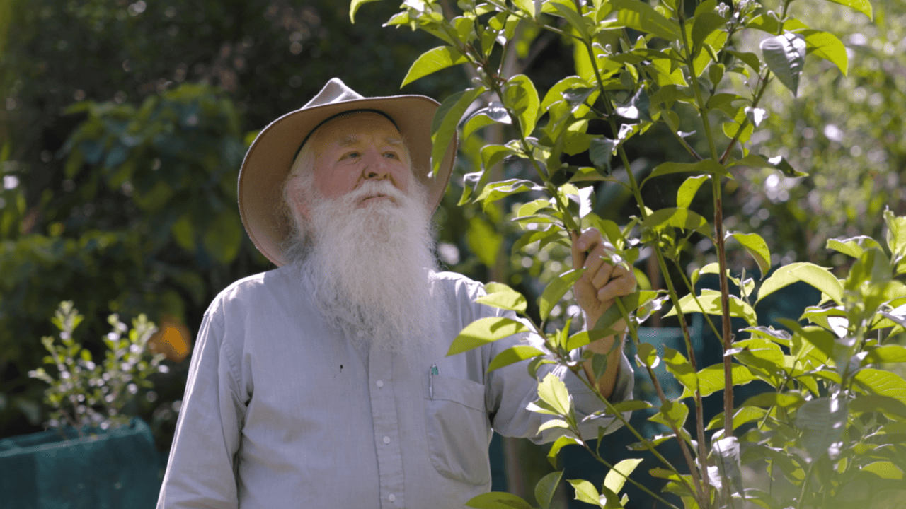Myrtle Rust | Australian Network for Plant Conservation