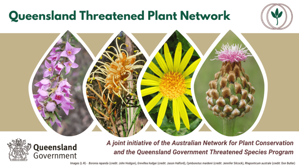 Home | Australian Network for Plant Conservation